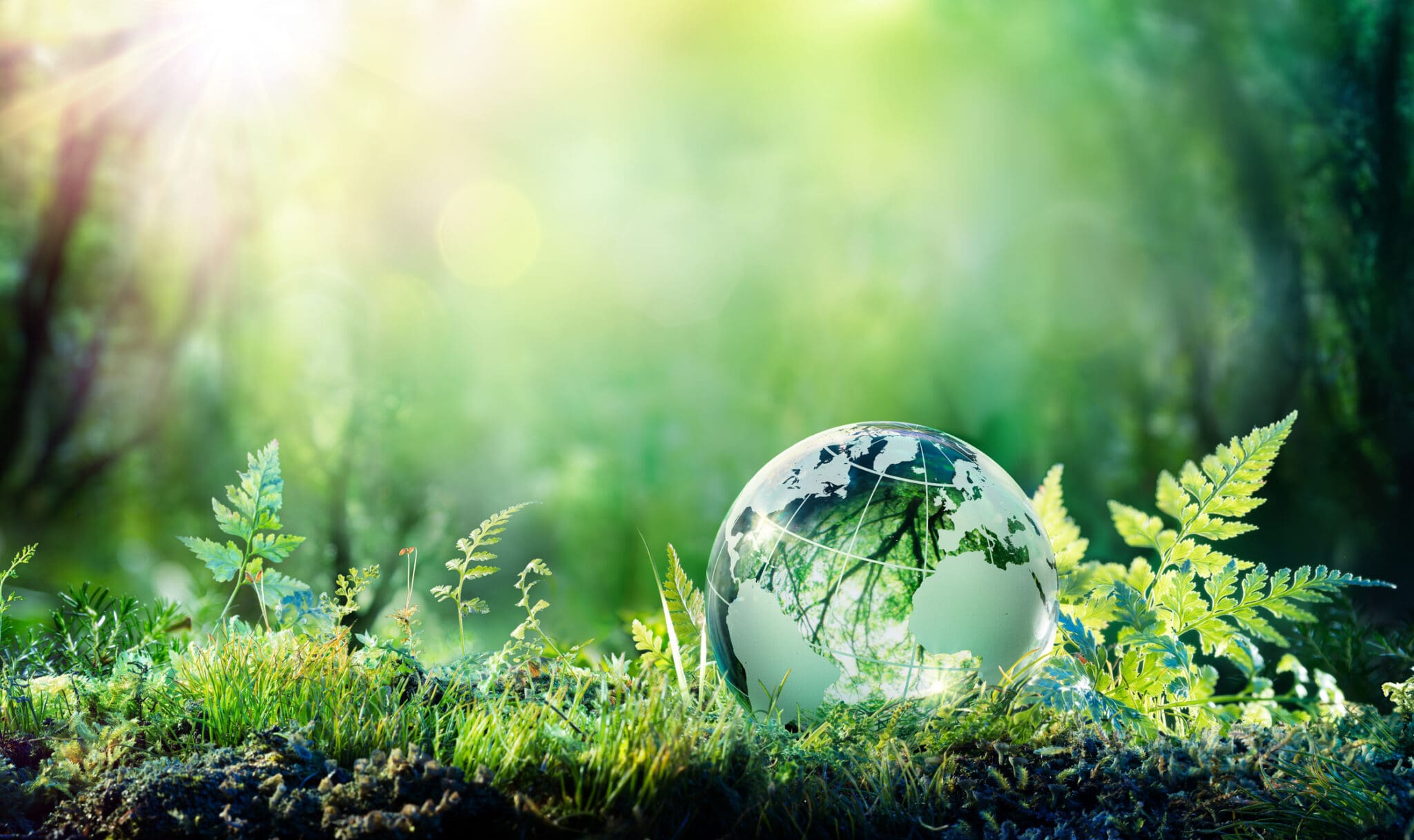 MAS Issues Transition Planning Guidelines on Climate Risk Management ...