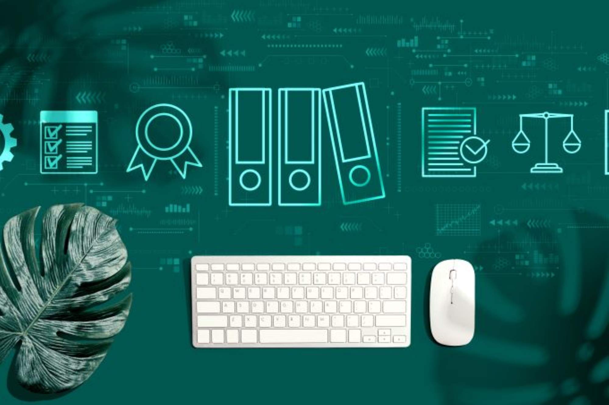 New Regulatory Development on Simplified Business Registration | Rajah ...
